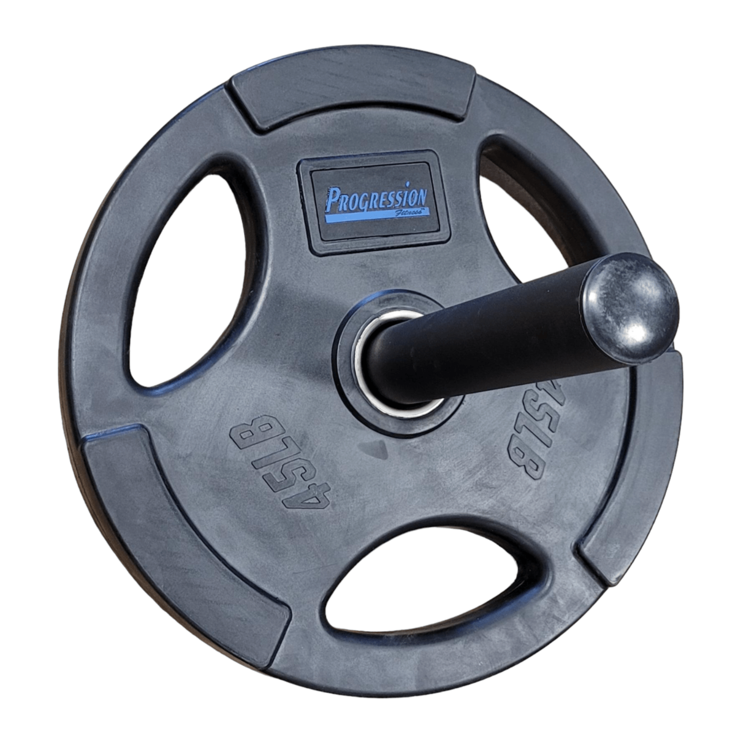 Progression Rig Weight Plate Posts | Flaman Fitness