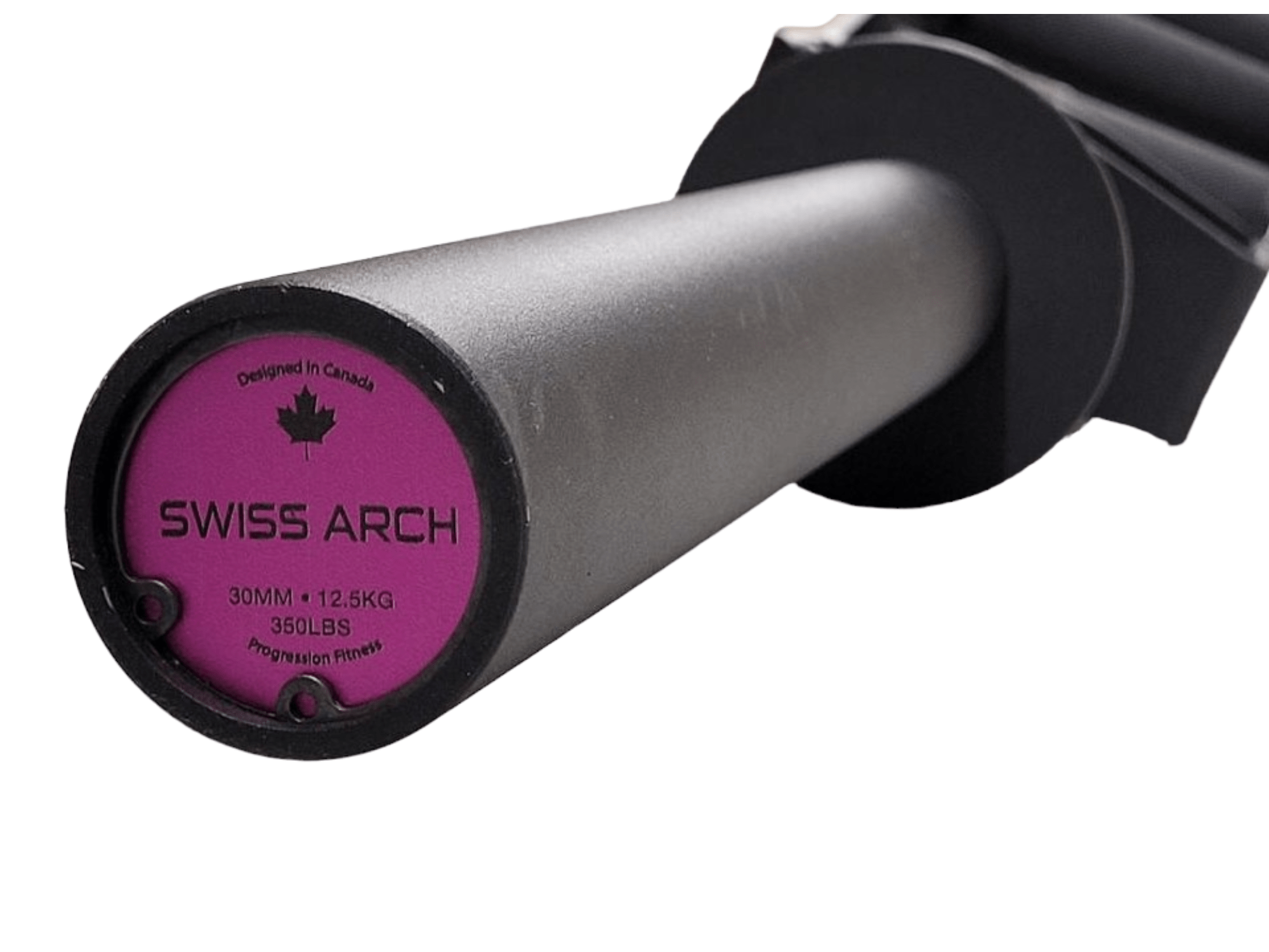 Flaman Fitness | Progression Swiss Arch Bar